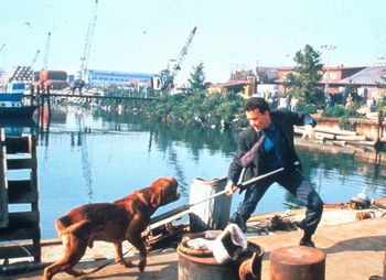 Turner and Hooch